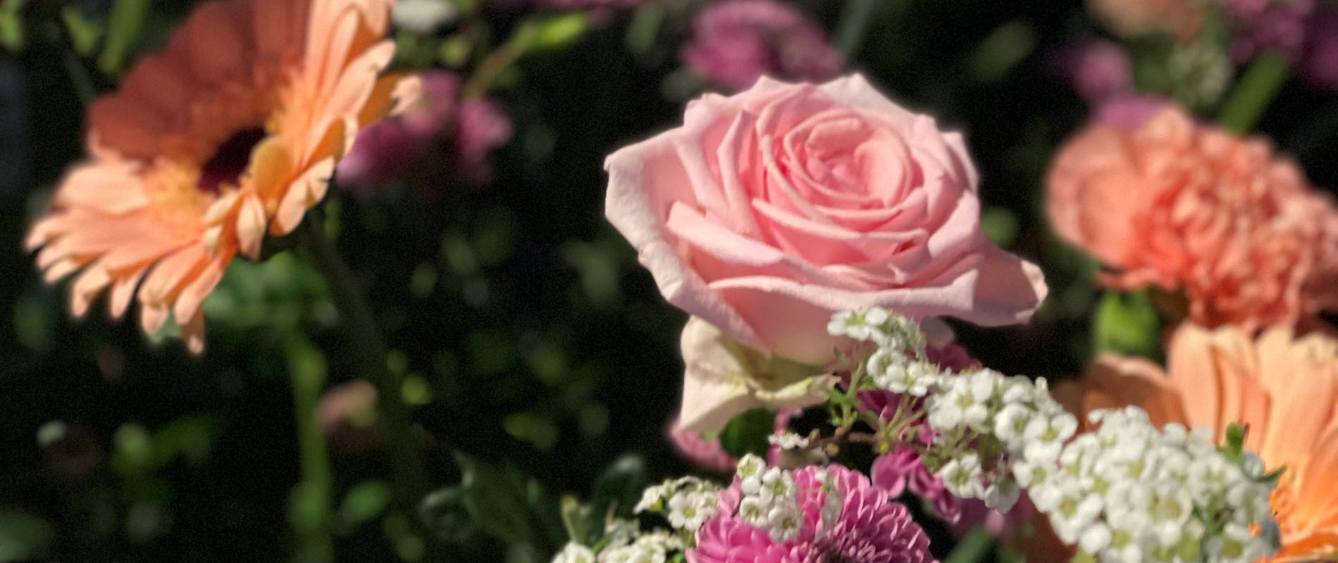 Vasapris till forskare